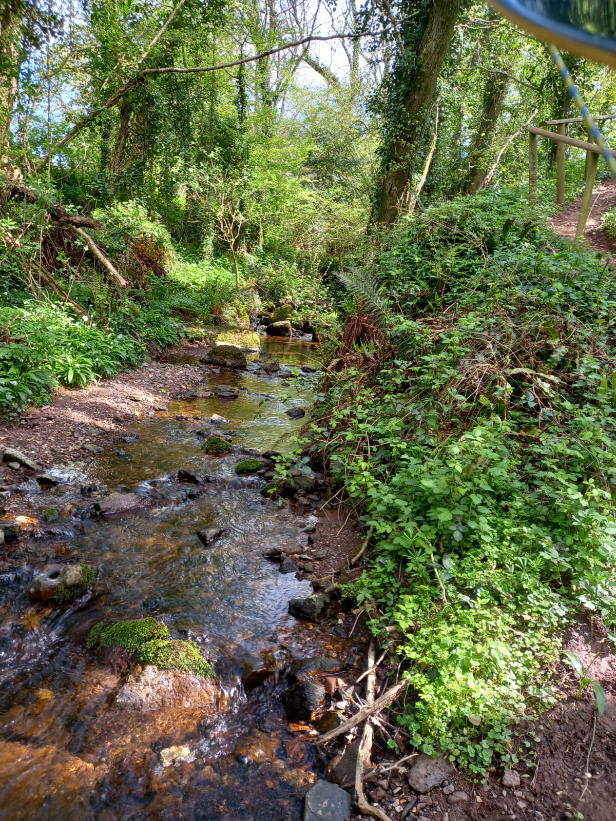 Home - Ashcombe Valley Archers Ashcombe Valley Archers